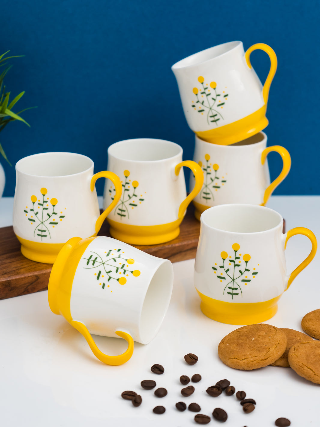 Products – Clay Craft India